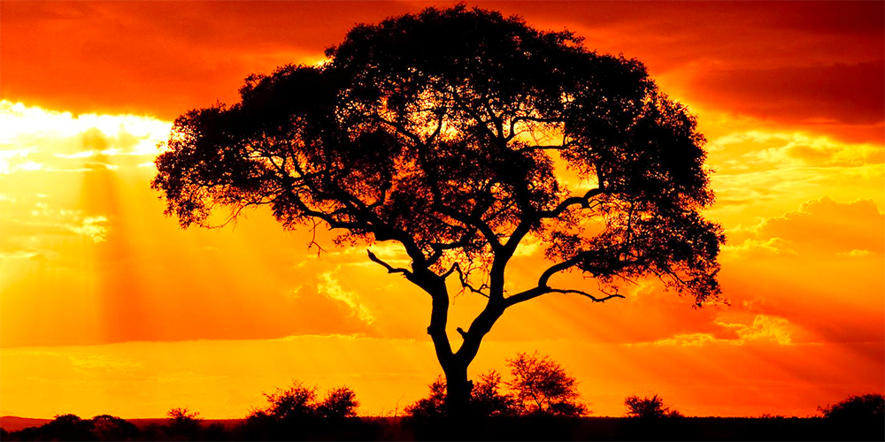 WisdomTree espande la gamma UCITS su commodity con un nuovo ETF « LMF ...