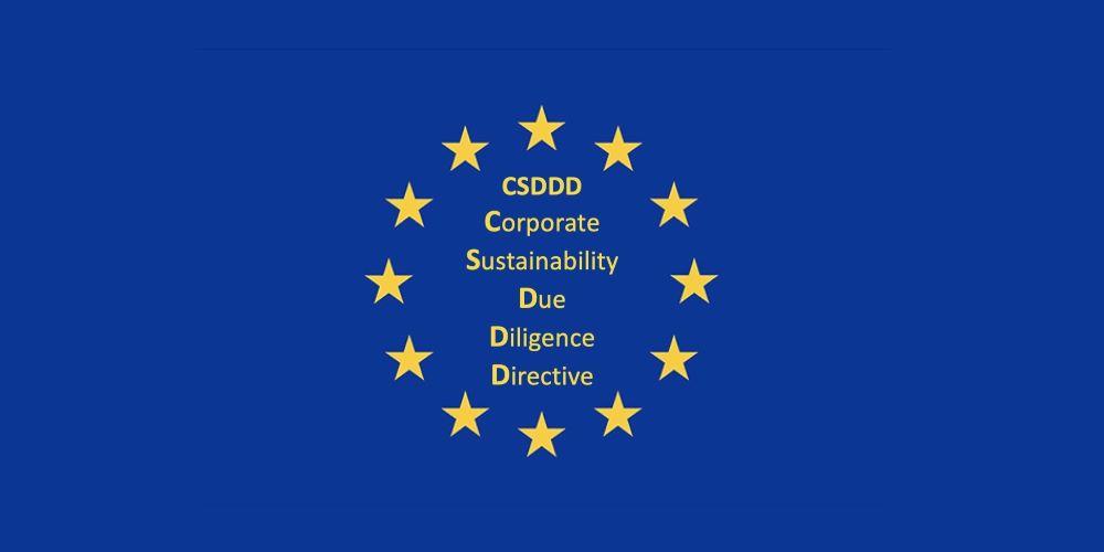 Direttiva CSDDD. Due Diligence sociale e ambientale: che cosa cambia in Europa « LMF Lamiafinanza