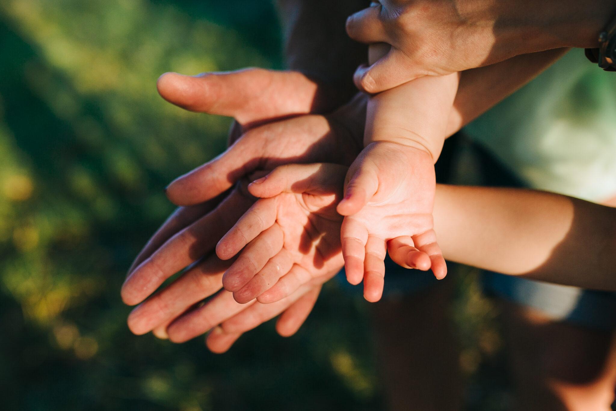 Happy beautiful family on the big garden on the dawn time. – LMF ...